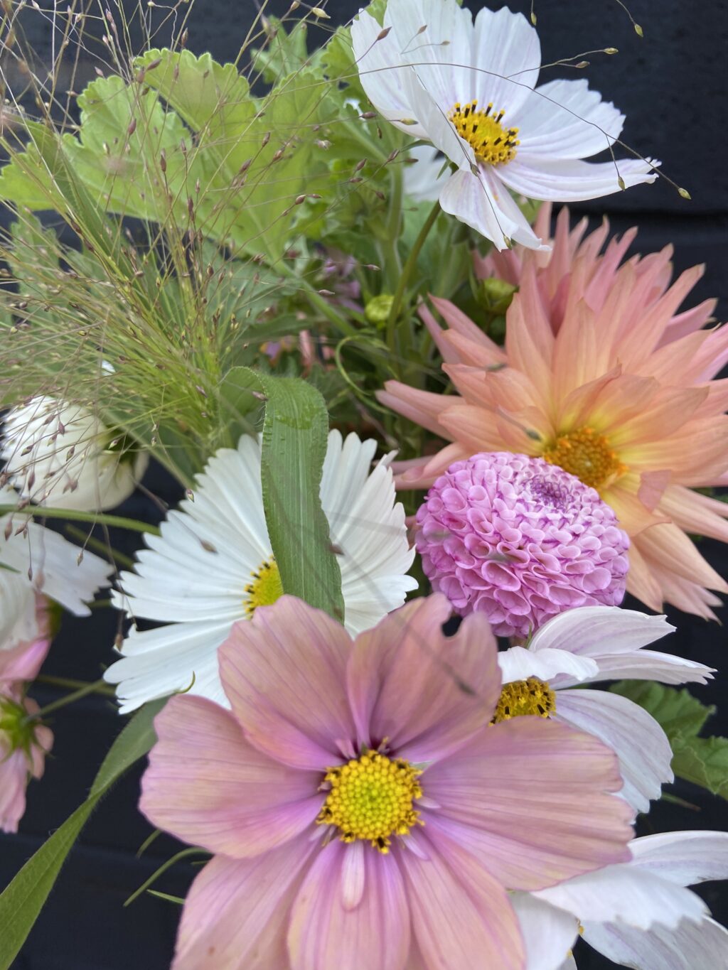 Blodau Caredig | Flowers from the Farm